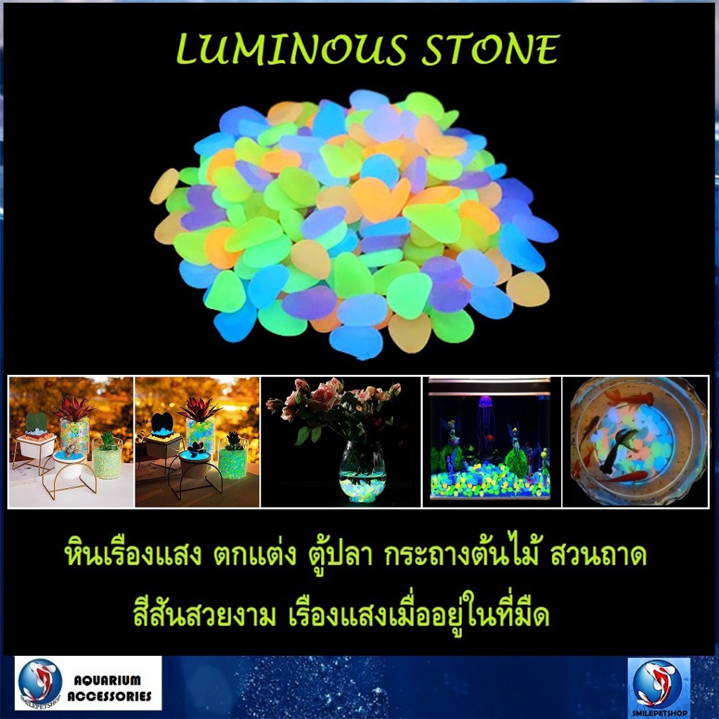 LUMINOUS STONE (หินเรืองแสง เรืองแสงในที่มืด สีสันสวยงาม สำหรับตกแต่ง ...