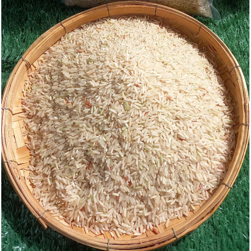 ข้าวกล้องหอมมะลิ(ระยะน้ำนม) ทุ่งกุลาฯ จ.ร้อยเอ็ด (ข้าวใหม่นาปี พ.ศ. 2566-67 | Shopee Thailand
