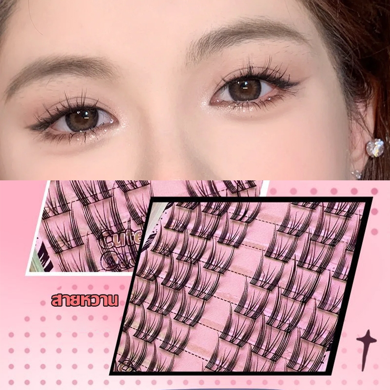 ISABELLA พร้อมส่ง ขนตาปลอมแบบเซท แบบช่อขนตา นิ่ม ขนตาธรรมชาติ ขนตาปลอม ...