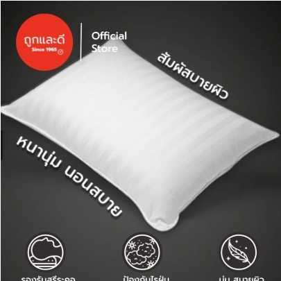 Took Lae Dee [1แถม1] รุ่น Sleepy หมอนหนุน ใยสังเคราะห์ 100% หนา นุ่น สบายผิว (แพ็ค2ใบ) | Shopee ...