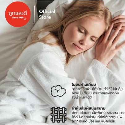 Took Lae Dee [1แถม1] รุ่น Sleepy หมอนหนุน ใยสังเคราะห์ 100% หนา นุ่น สบายผิว (แพ็ค2ใบ) | Shopee ...