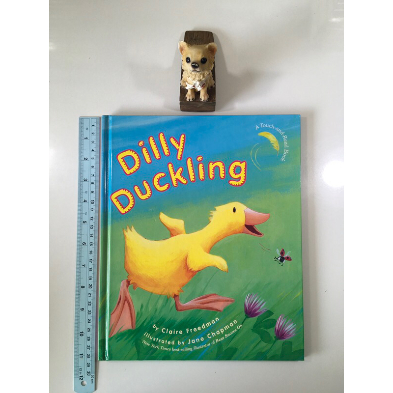 Dilly Duckling By Claire Freedman หนังสือภาษาอังกฤษมือสองปกแข็ง ...