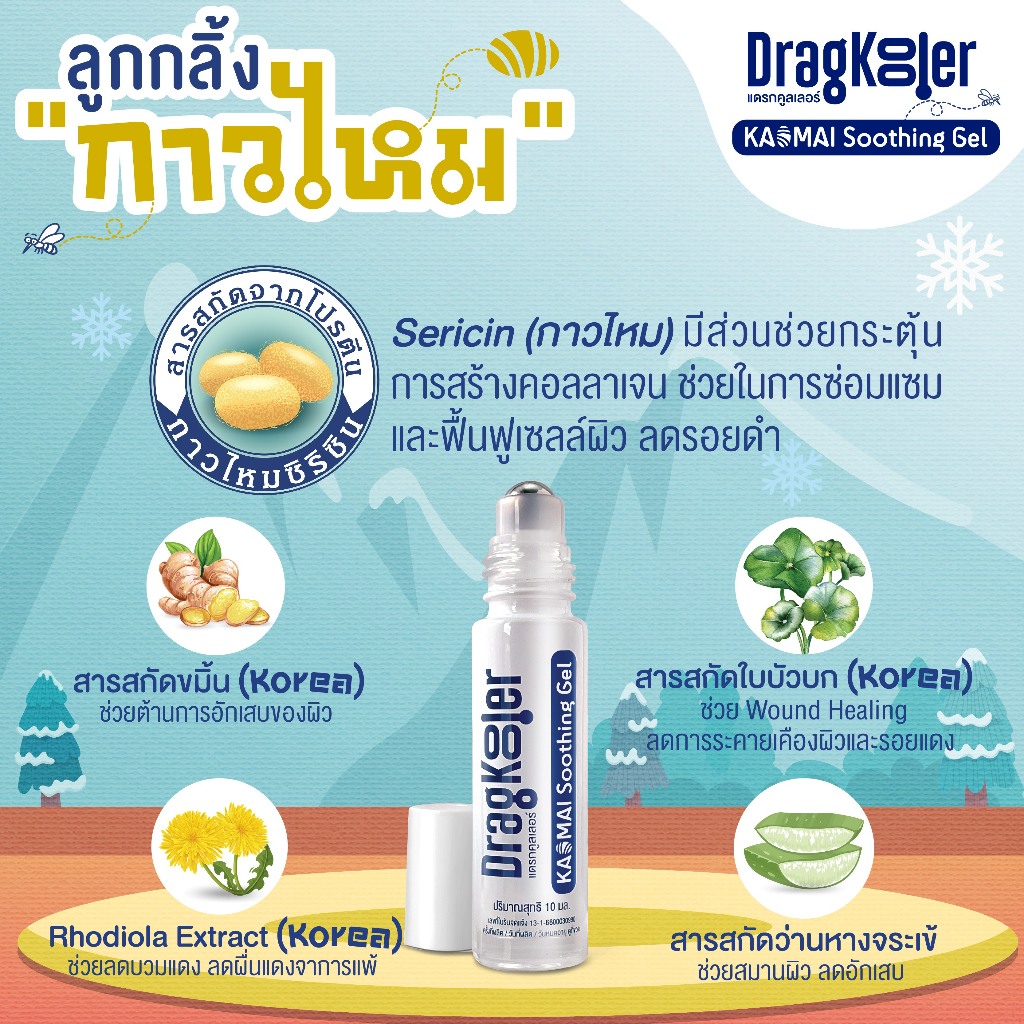 ลูกกลิ้งกาวไหม Dragkooler 1 กล่อง | Shopee Thailand