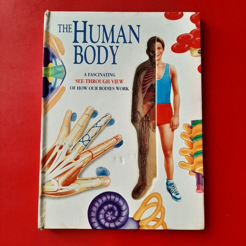 The Human Body: A Fascinating See-Through View of How Our Bodies Work ...
