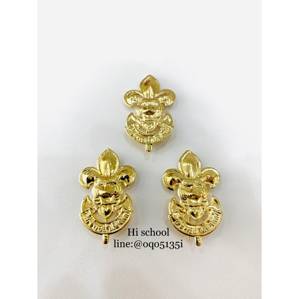 หมวกเบเร่ย์ (รวมเข็ม) หมวกลูกเสือสามัญรุ่นใหญ่ สีแดง เบเร่ย์ | Shopee ...