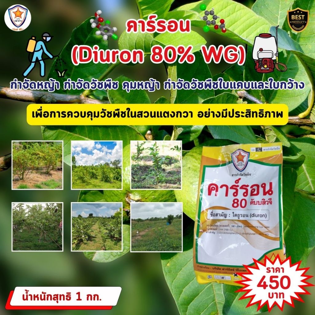 คาร์รอน (diuron 80% wg) กำจัดหญ้า กำจัดวัชพืชใบแคบและใบกว้าง เพื่อการ ...