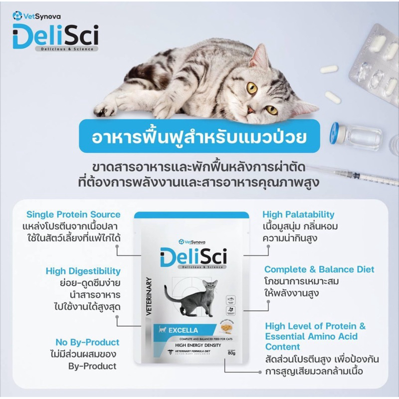 Delisci อาหารซองแมว ขนาด 80 กรัม exp 01/26 อาหารฟื้นฟูสำหรับแมวป่วย และ ...