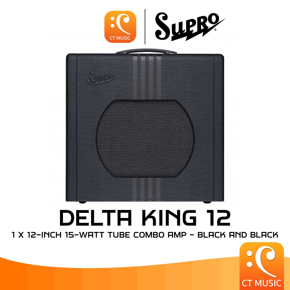 Supro Delta King 12 1 x 12-inch 15-watt Tube Combo Amp – Black and ...