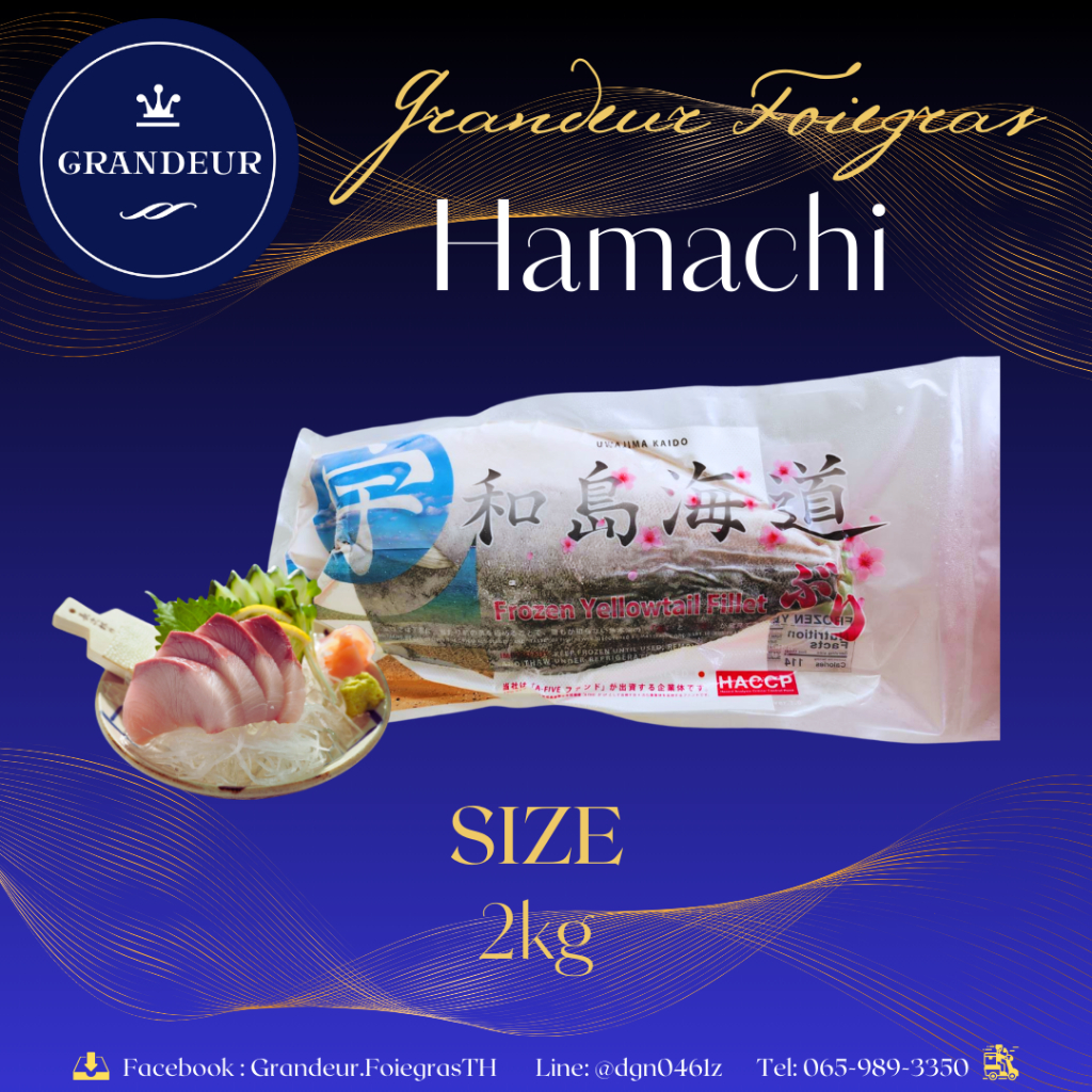 Hamachi ปลาฮามาจิ ส่งตรงจากทะเล เกรดOnsui พรีเมียม | Shopee Thailand