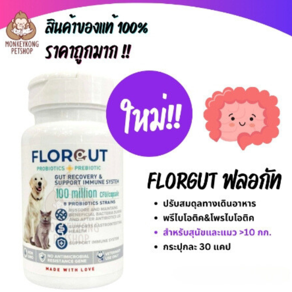 Florgut ฟลอกัท สำหรับแมวและสุนัข ยกกระปุก (30แคป) ล็อตใหม่ล่าสุด ...