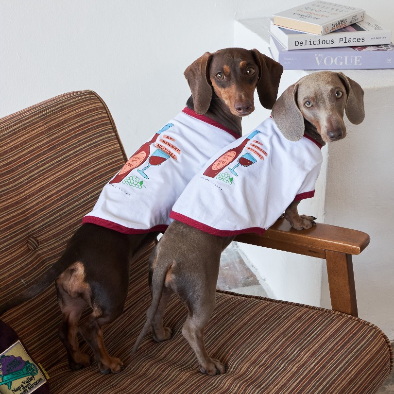 Midnight Layer - Pawty Club - เสื้อผ้าสัตว์เลี้ยง (Wine - Burgundy) | Shopee Thailand