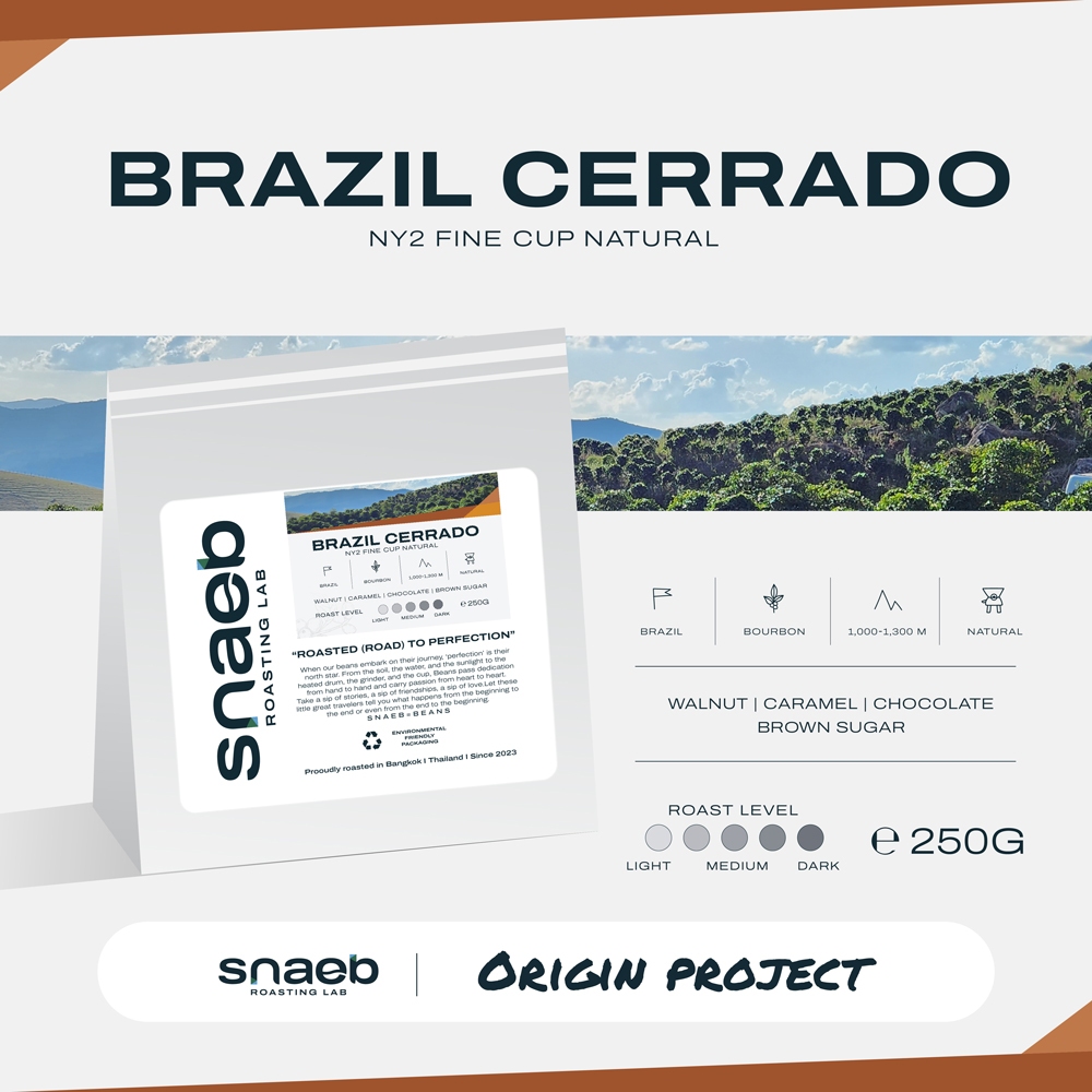 Brazil Cerrado NY2 Fine Cup Natural | เมล็ดกาแฟคั่ว คั่วกลางค่อนไปทางเข้ม Snaeb Coffee | Shopee ...
