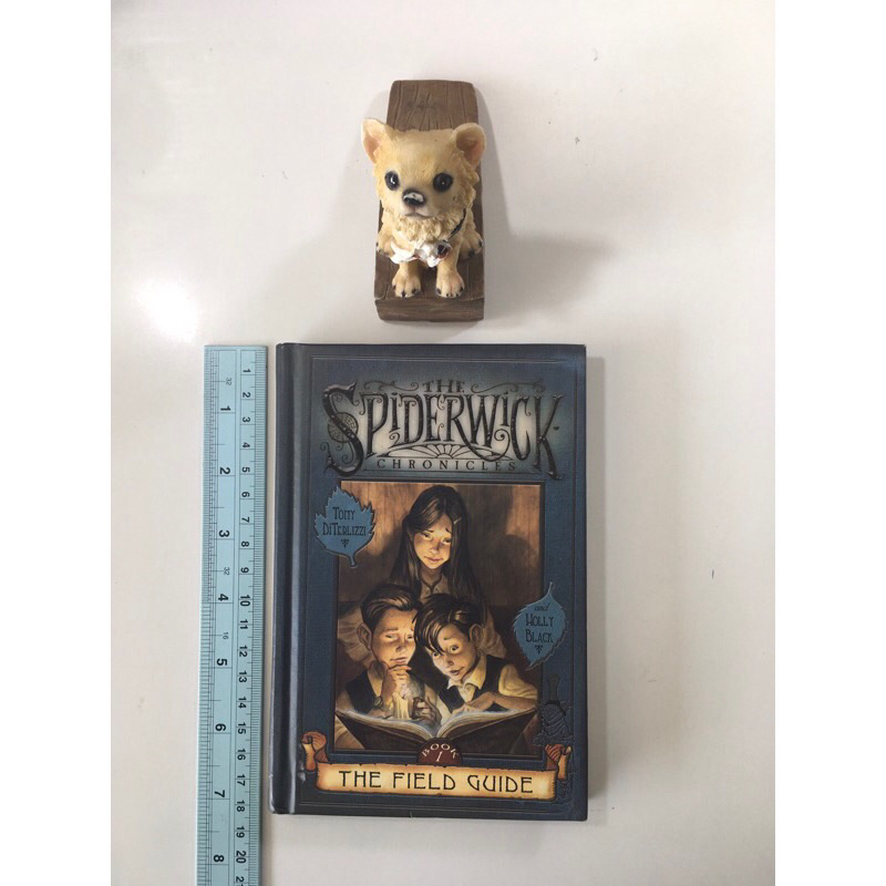 The Spiderwick Chronicles by Tony DiTerlizzi and Holly Black (Chapter ...