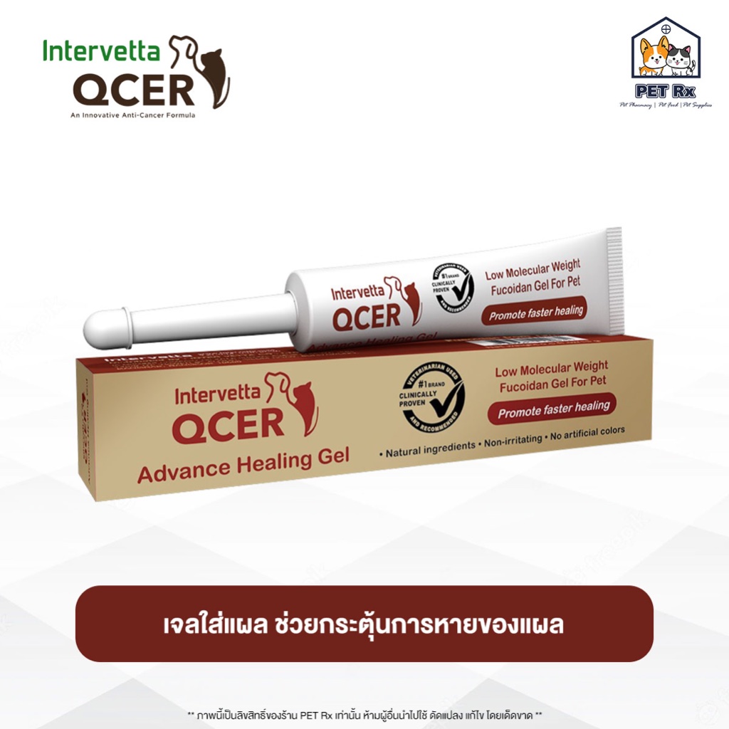 QCER Gel [แท้💯] เจลใส่แผล ช่วยกระตุ้นการหายของแผล สำหรับสัตว์เลี้ยง 15 g. | Shopee Thailand