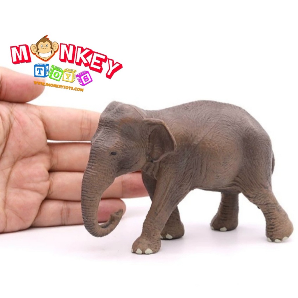 Monkey Toys - โมเดลสัตว์ Elephant ช้าง เอเชีย ขนาด 12.50 CM (จากหาดใหญ่ ...
