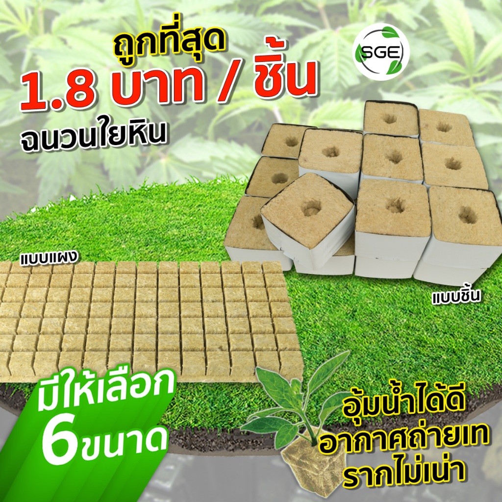 Spring Green Evolution ร็อควูลก้อน Rockwool ใยหินปลูกต้นไม้ ส่งไว! ซื้อ ...