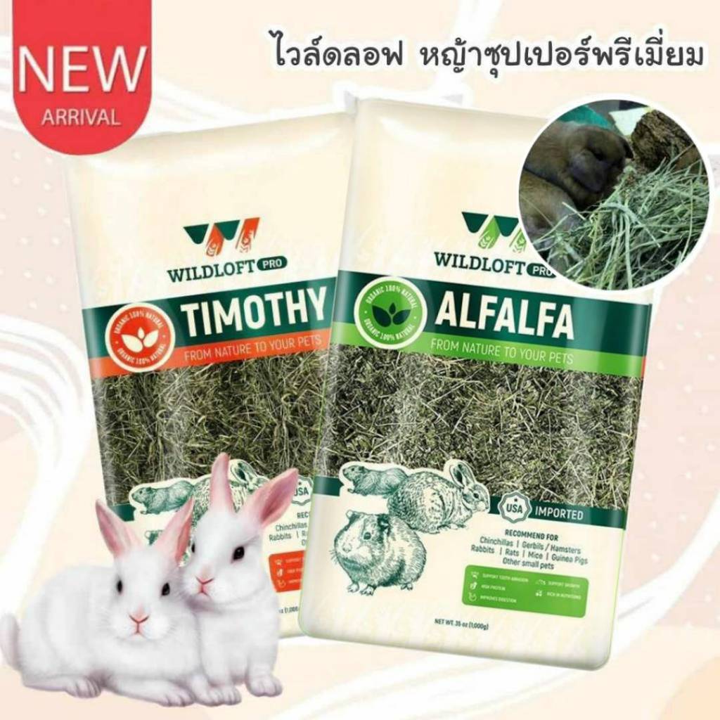 CatHoliday ไวล์ดลอฟ หญ้าทีโมธี อัลฟาฟ่า ซุปเปอร์พรีเมี่ยม Wildloft ...