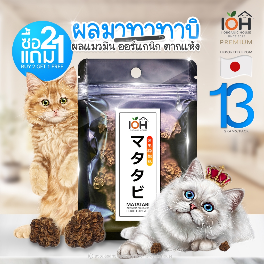 IOH Matatabi Dried Fruit ผลมาทาทาบิตากแห้ง ผลแมวมึน ของเล่นคลายเคลียด ...