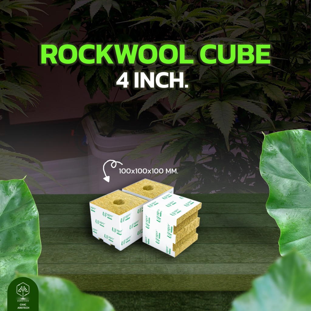 [พร้อมส่ง!!!] Rockwool 4 นิ้ว UPuper ร็อควูล วัสดุปลูกต้นไม้ ต้นกล้า ...