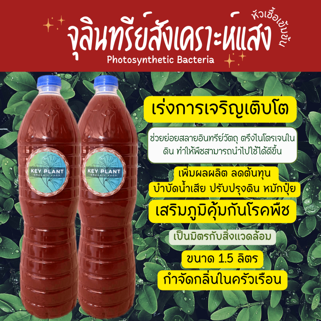 จุลินทรีย์สังเคราะห์แสงหัวเชื้อเข้มข้น 1.5L PSBปุ๋ยอินทรีย์บำรุงพืชโตเร็วแข็งแรงปลอดโรค ตรึง ...