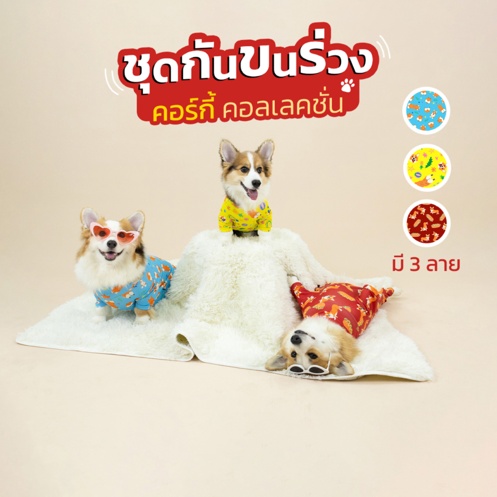 ชุดกันขนร่วง ชุดเก็บขน สำหรับ Corgi กันขนร่วงคอร์กี้ | CLAWSET.BKK | Shopee Thailand