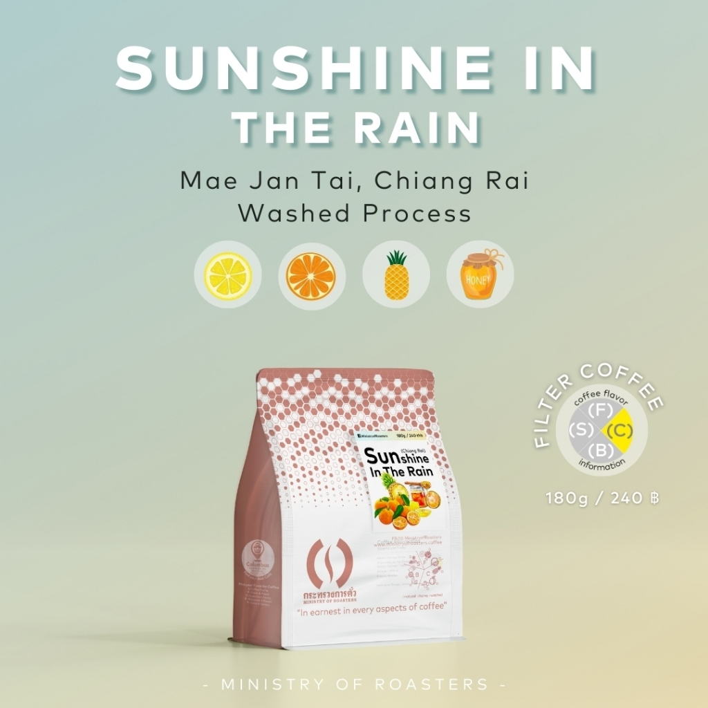 เมล็ดกาแฟ แม่จันใต้ เชียงราย Sun Shine In The Rain, Mae Jan Tai ...