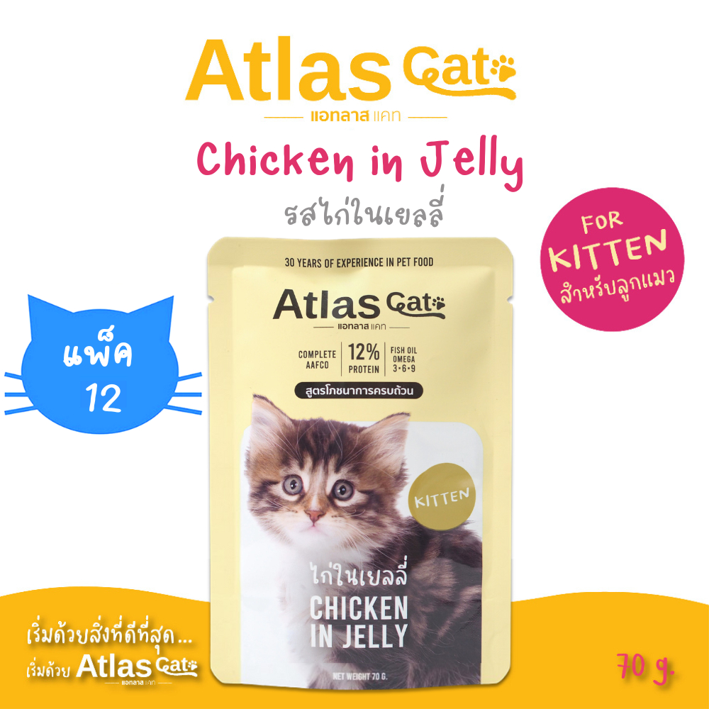 Atlas Cat แอทลาส แคท (แพ็ค 12) คิตเท้น ไก่ในเยลลี่ 70 กรัม Kitten ...