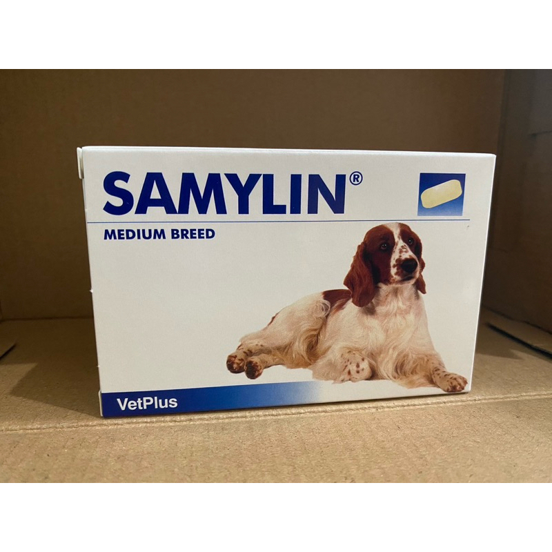 Samylin Medium Breed Tablets (exp.08/26) แท้💯 ฉลากไทย🇹🇭 🚩อาหารเสริม ...