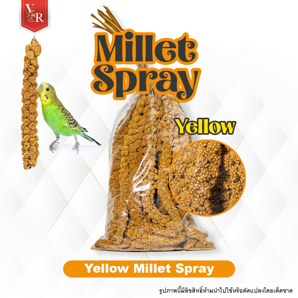 Yellow Millet Spray มิลเล็ตสเปรย์เหลืองคัดเกรดแบ่งขาย 500g ***สินค้าจัด ...