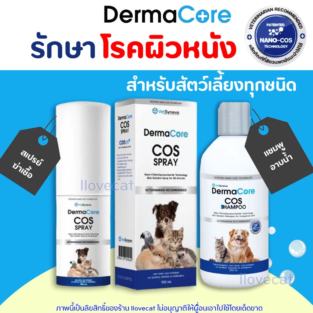 DermaCore COS สเปรย์ และแชมพู โรคผิวหนังติดเชื้อรา แบคทีเรีย ยีสต์ แผล ...