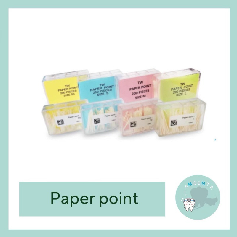Paper Point ( 4 ขนาด ) พร้อมส่ง | Shopee Thailand