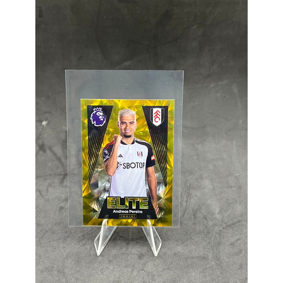 การ์ดนักฟุตบอล Panini Premier League 2024 Sticker Collection / Pick ...