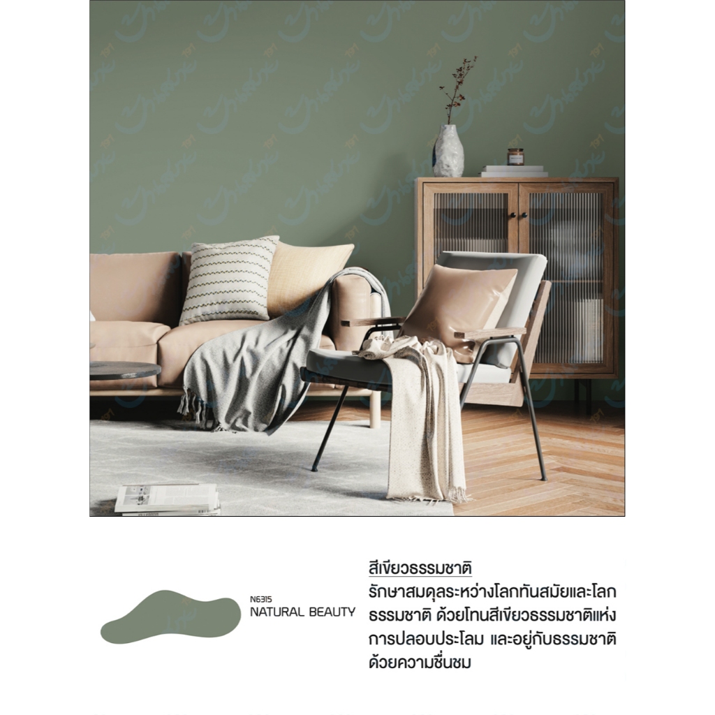 TOA เฉดสี 2024 ชิลด์ วัน ภายนอก ขนาด 9 ลิตร สีทาบ้าน Shield 1 เกรด10 ปี ...