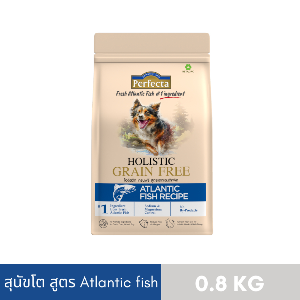 PERFECTA HOLISTIC GRAIN FREE สุนัขโต สูตร Atlantic fish 0.8 KG | Shopee Thailand