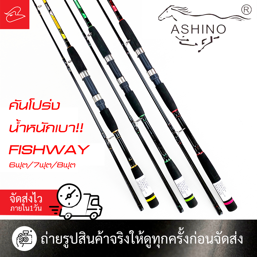 คันโปร่งหน้าดิน 2 ท่อนต่อกลาง อาชิโน่ฟิชเวย์ Ashino Fishway ขนาด 6ฟุต/7ฟุต/8ฟุต เวท 8-17lb ...