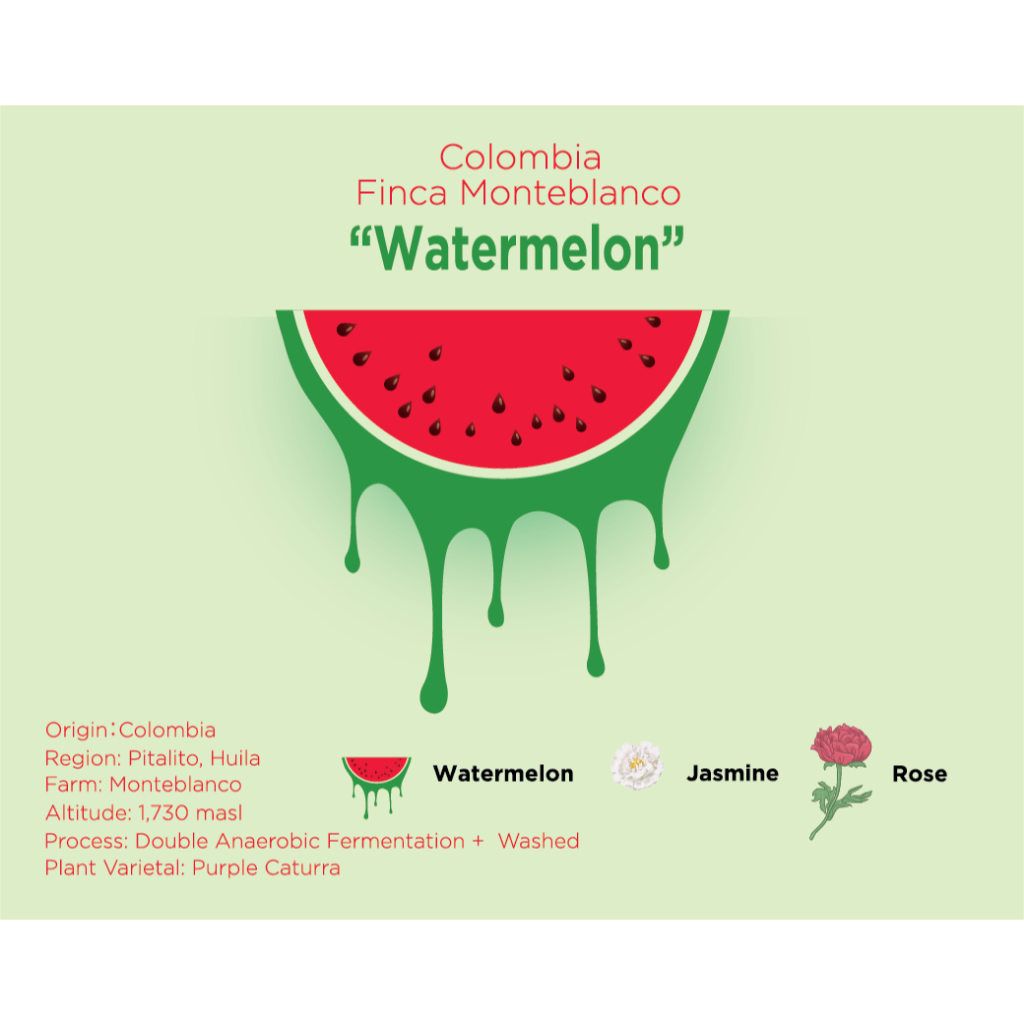 Colombia Huila Finca Monteblanco " Watermelon " | Shopee Thailand