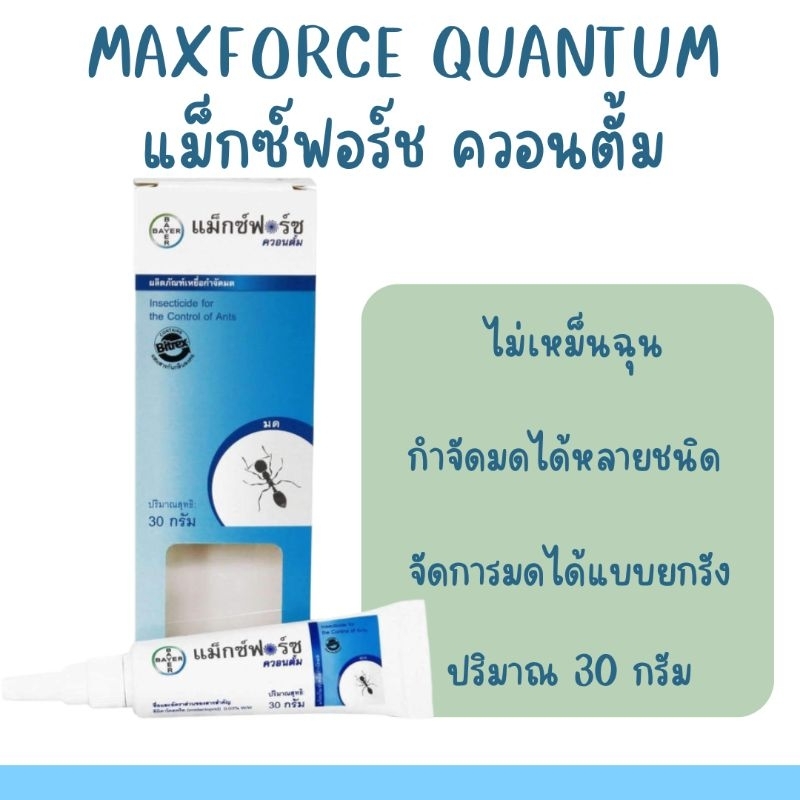 Maxforce quantum แม็กซ์ฟอร์ซ ควอนตั้ม ผลิตภัณฑ์กำจัดมด ในรูปแบบเจล ...
