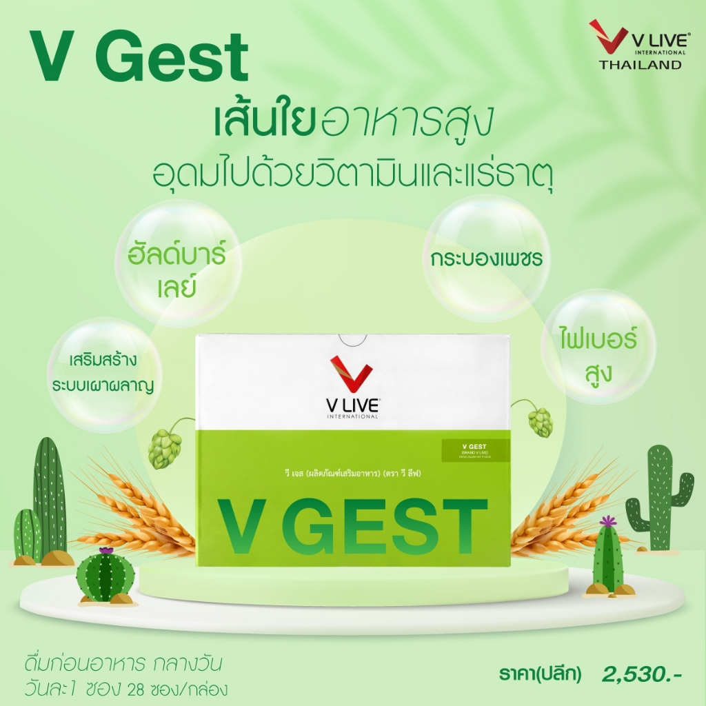 V GEST (วีเจส) ผงผัก ชงดื่ม กินง่าย อิ่มนาน เผาผลาญไขมัน อาหารเสริม ...