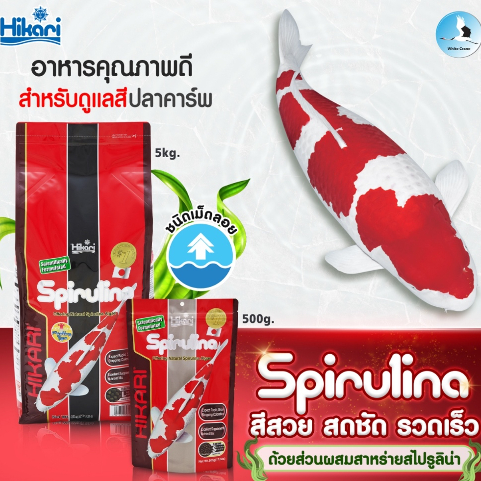 Hikari Spirulina อาหารสูตรเร่งสีชนิดพิเศษที่มี ส่วนผสมของสาหร่ายสไปรูลิ ...