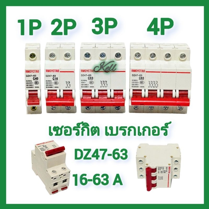 Circuit Breaker 16A~63A DZ47 1P/2P/3P/4P เซอร์กิตเบรกเกอร์ | Shopee Thailand