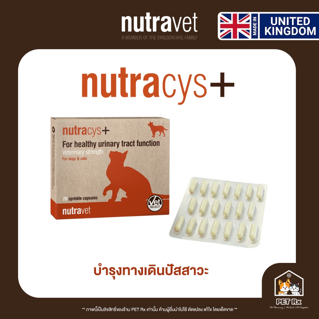 Nutracys+ [แท้💯] อาหารเสริมดูแลระบบทางเดินปัสสาวะ สำหรับสุนัขและแมว ...