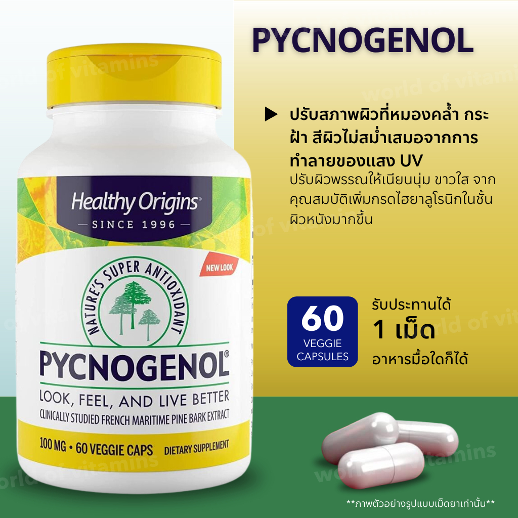 Healthy Origins Pycnogenol 100 mg บรรจุ 60 เม็ด สารสกัดเปลือกสนมาริไทม์ (Sku.331) | Shopee Thailand