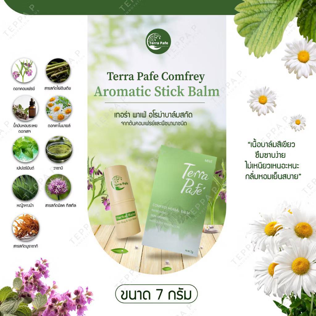 บาล์มอโรมา เทอร่า พาเฟ่ หอมสดชื่น เย็นสบาย Terra Pafe Comfrey Aromatic Stick Balm | Shopee Thailand