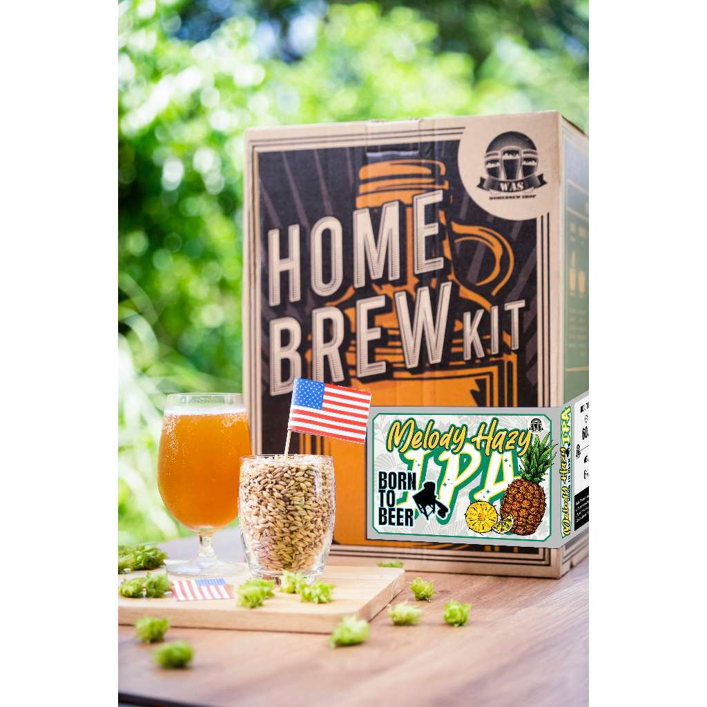 4-10-20-melody-ddh-hazy-ipa