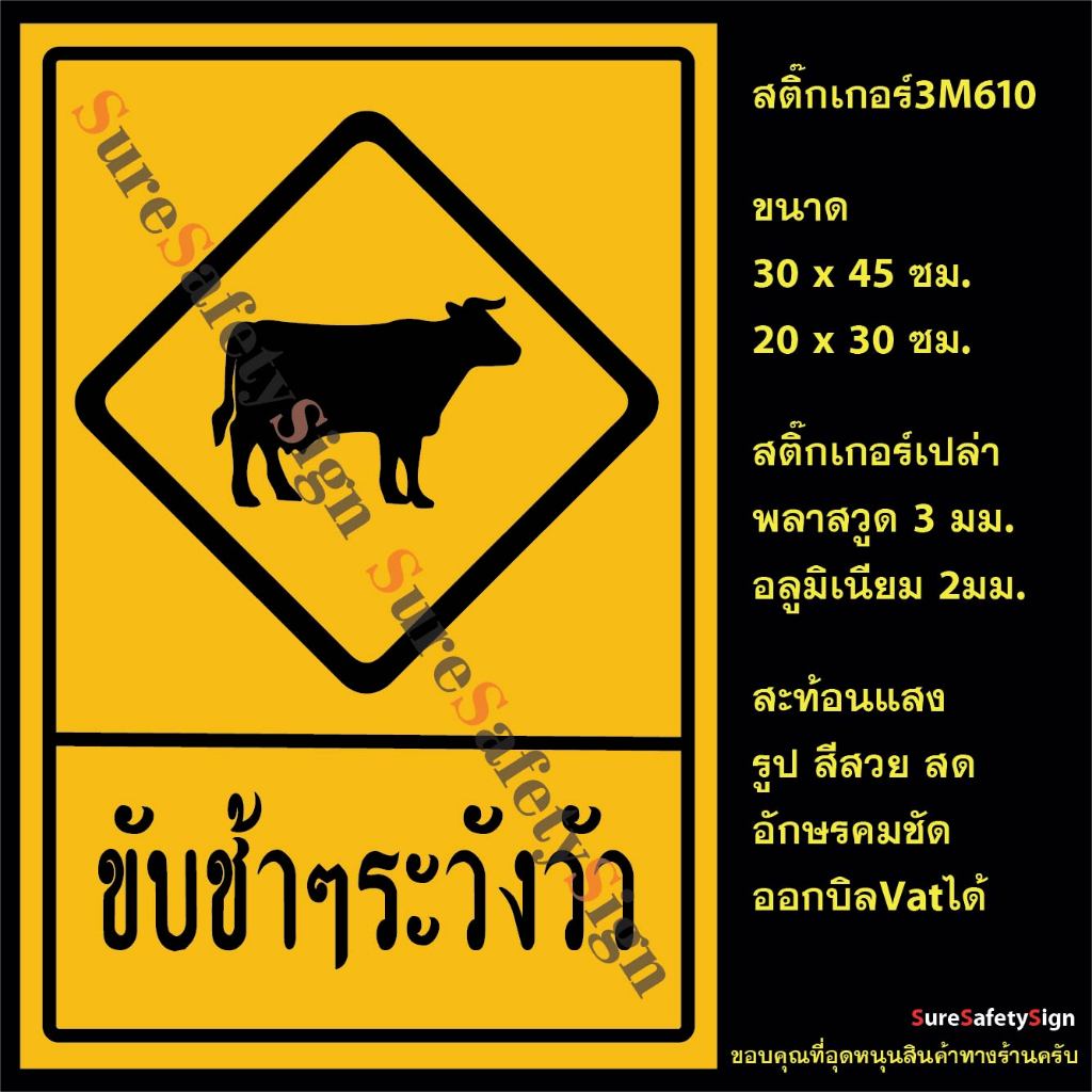 ป้ายขับช้าๆ ระวังวัว Y114 สติ๊กเกอร์สะท้อนแสง 3M 610 อลูมิเนียม2มม. พลา ...