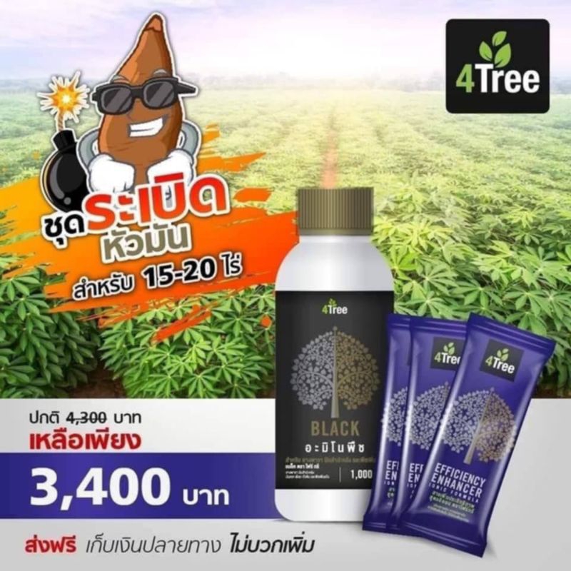 🔥สุดคุ้ม🔥3ซอง 4Tree + 1 ขวด อะมิโนแบล็ค ขนาด 1,000 มล. | Shopee Thailand