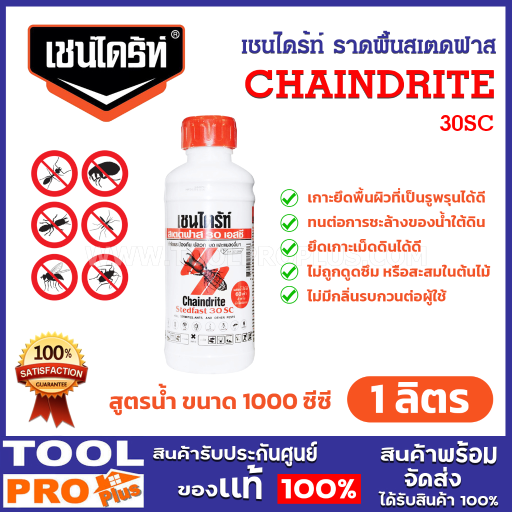 CHAINDRITE เชนไดร้ท์ ราดพื้น สเตดฟาส 30SC สูตรน้ำ ขนาด 1000 ซีซี (1 ...