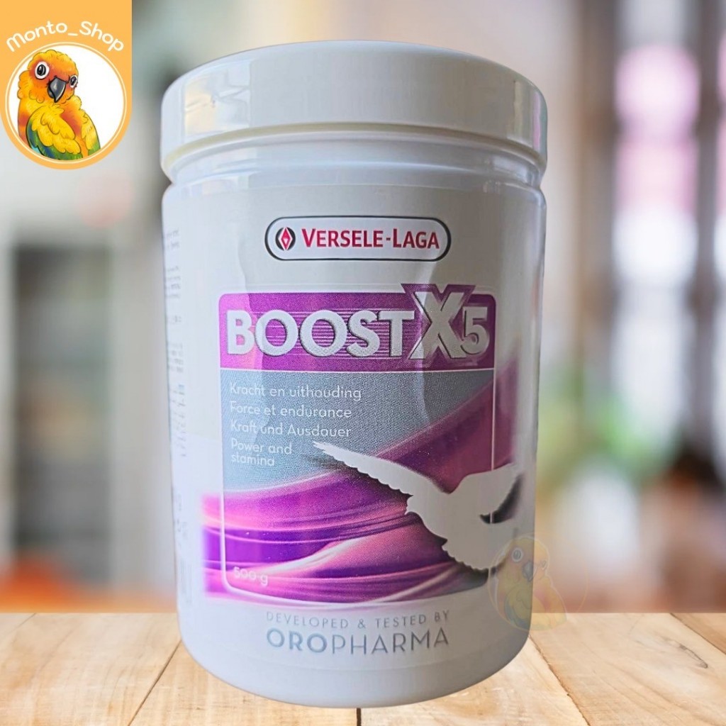 เสริมนก เพิ่มพลังงาน เสริมกล้ามเนื้อ บูสท์ 5 เท่า!! ชนิดผง Boost X5 ...