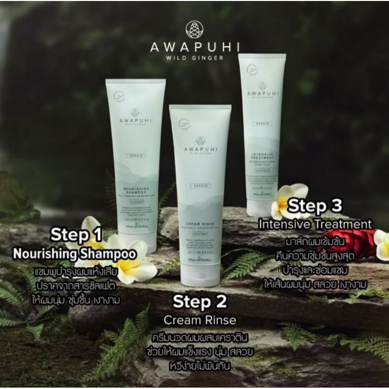 Paul Mitchell Awapuhi Wild Ginger Repair Shampoo/Rinse/Treatment/Whip ...