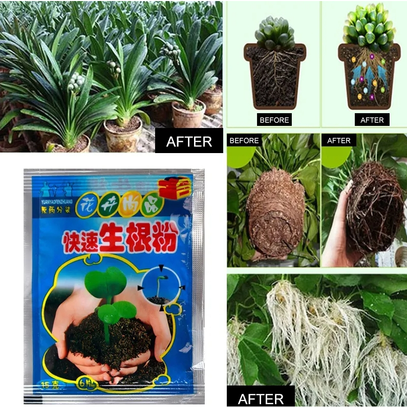 ผงเร่งรากแบบเร็ว หนึ่งถุง RAPID ROOTING POWDER High-Performing Root ...